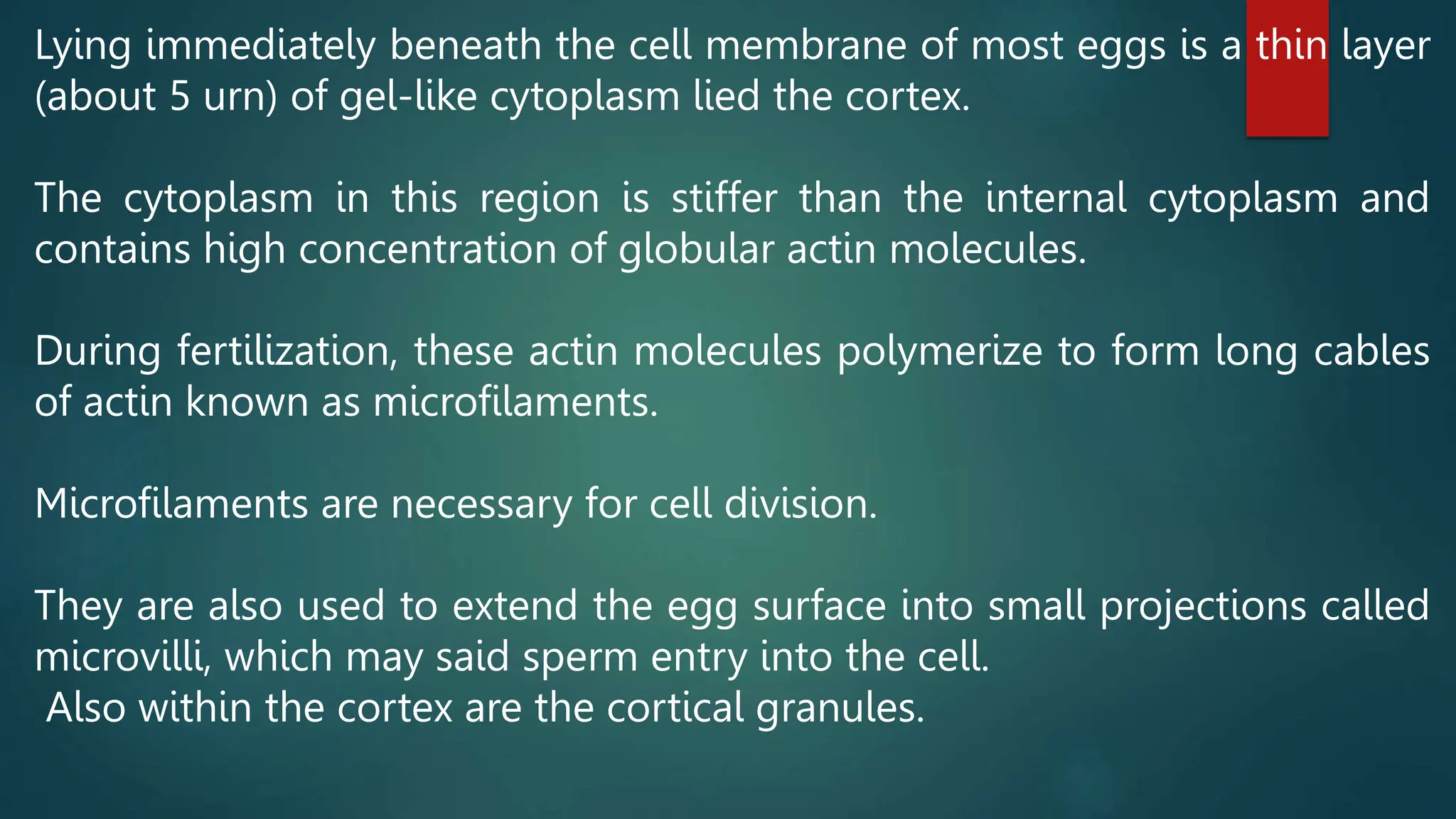 Fertilization: Sperm and the egg—collectively called the gametes—fuse ...