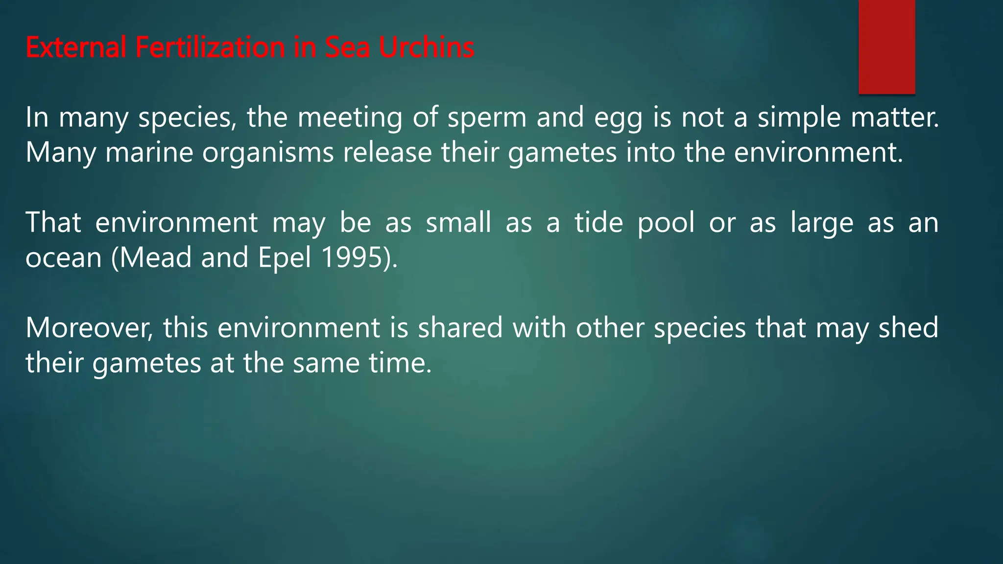 Fertilization: Sperm and the egg—collectively called the gametes—fuse ...