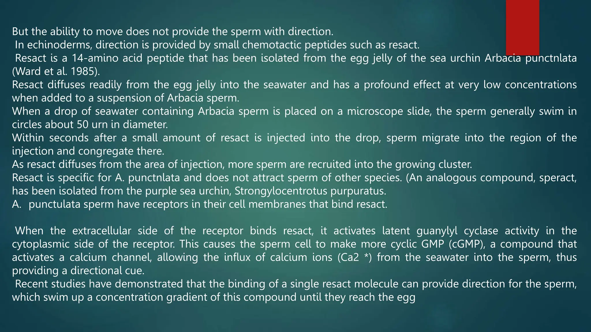 Fertilization: Sperm and the egg—collectively called the gametes—fuse ...