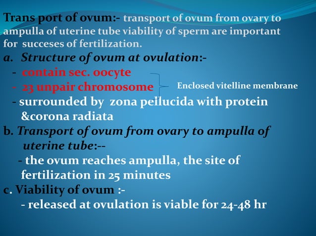 Fertilization Embryology By Sanjay Kumar Ppsx Infertility