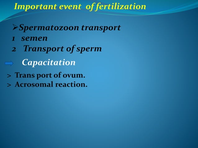 Fertilization Embryology By Sanjay Kumar Ppsx Infertility