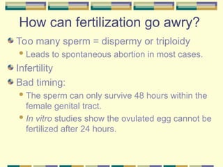 Fertilization.pptgchcgjgcjgjccgjvhjhgjygjgjyjygjgyjgy | PPT