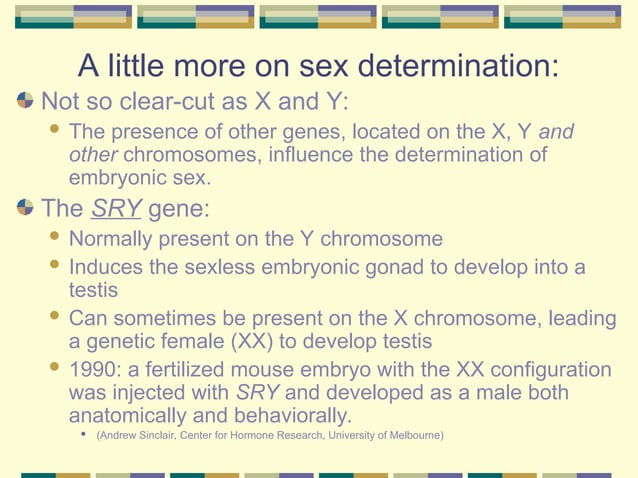 Fertilization Ppt099877666554433333 222111 Ppt Free Download