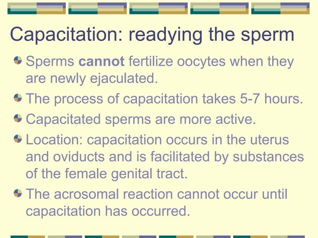 Fertilization Ppt099877666554433333 222111 Ppt Free Download