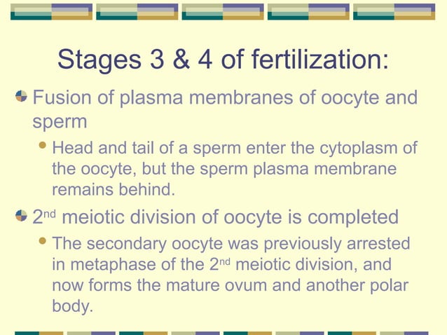 Fertilization Ppt099877666554433333 222111 Ppt Free Download