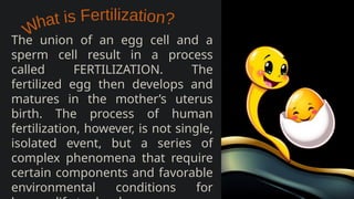 FERTILIZATION IN HUMAN REPRODUCTIVE SYSTEM | PPTX