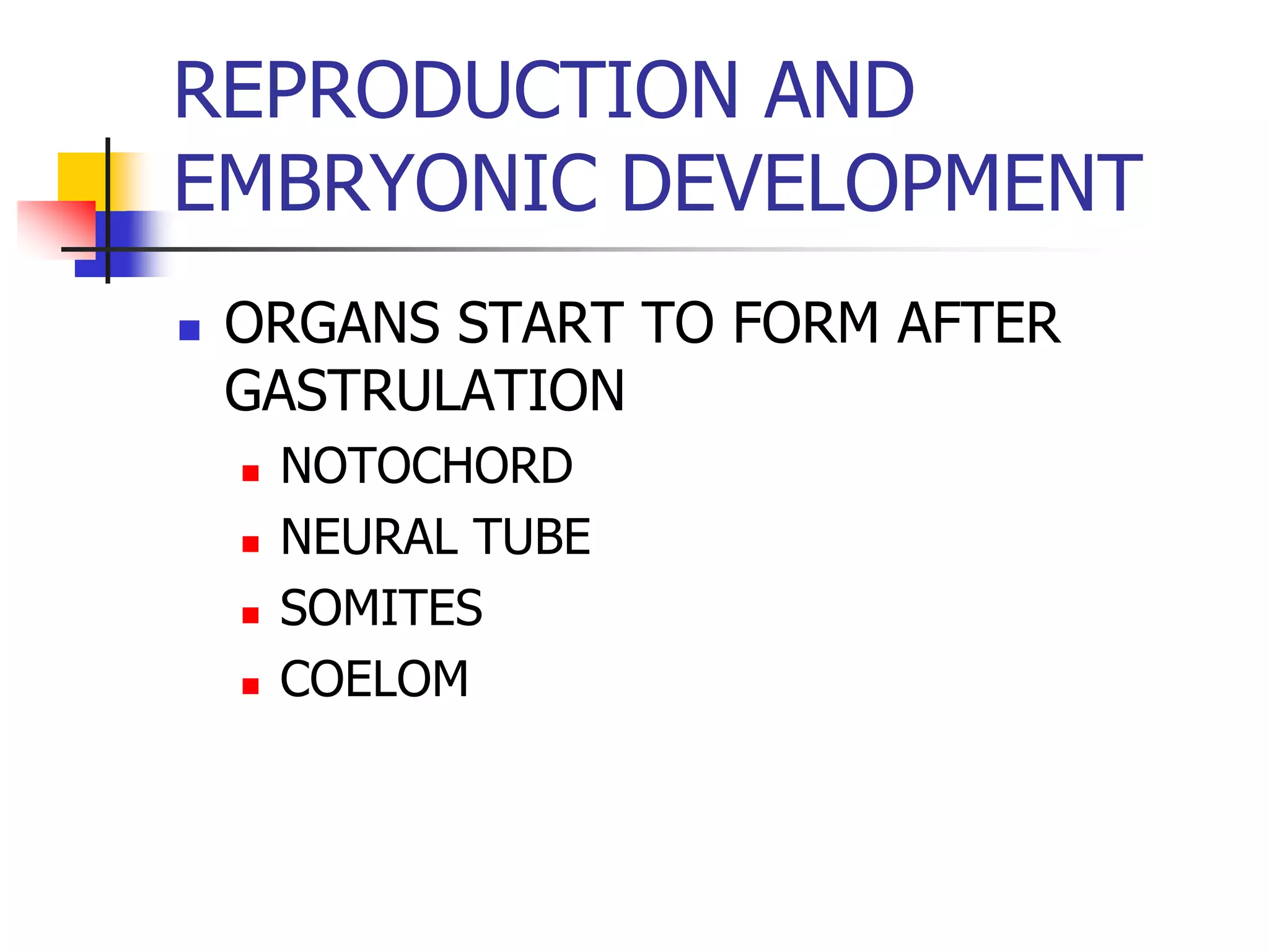 Fertilization early embryo dev't | PPT
