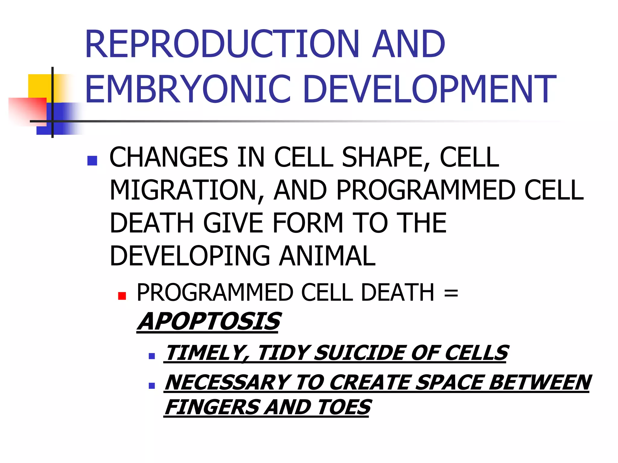 Fertilization early embryo dev't | PPT