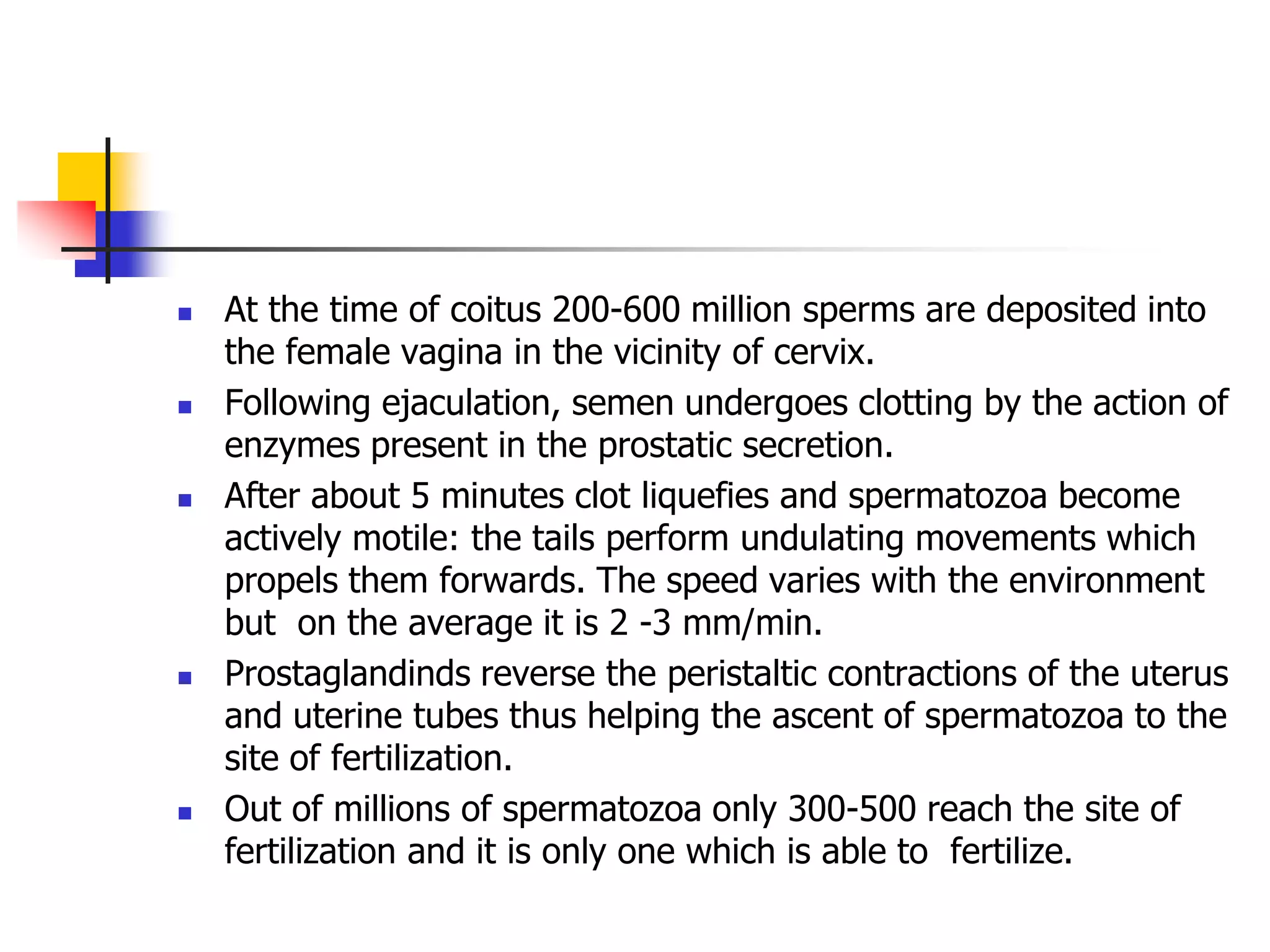 Fertilization early embryo dev't | PPT