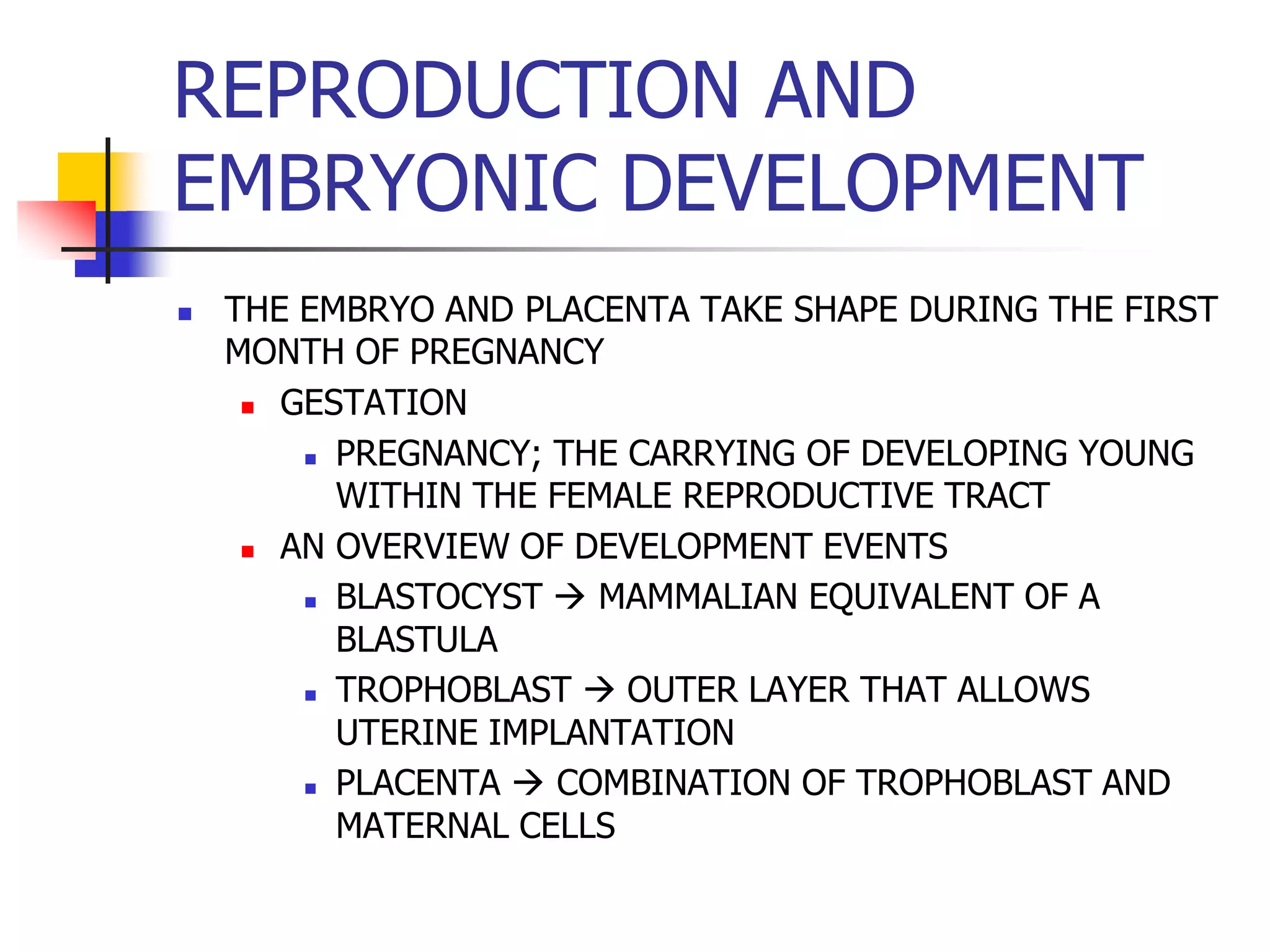 Fertilization early embryo dev't | PPT