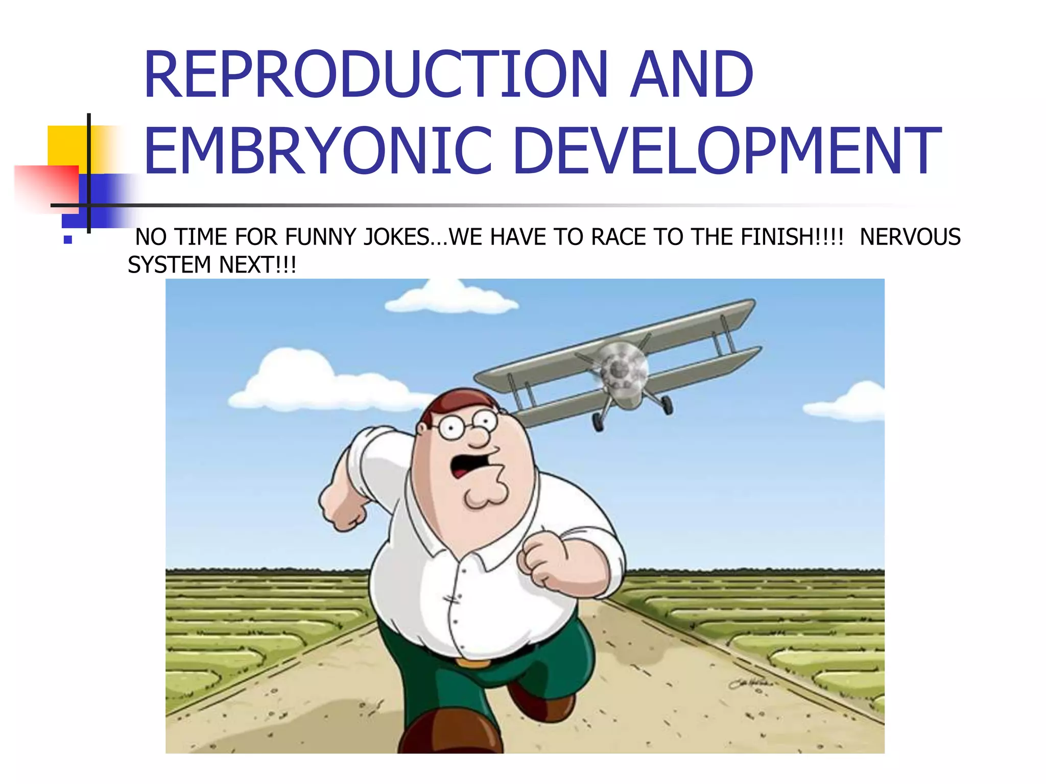 Fertilization early embryo dev't | PPT
