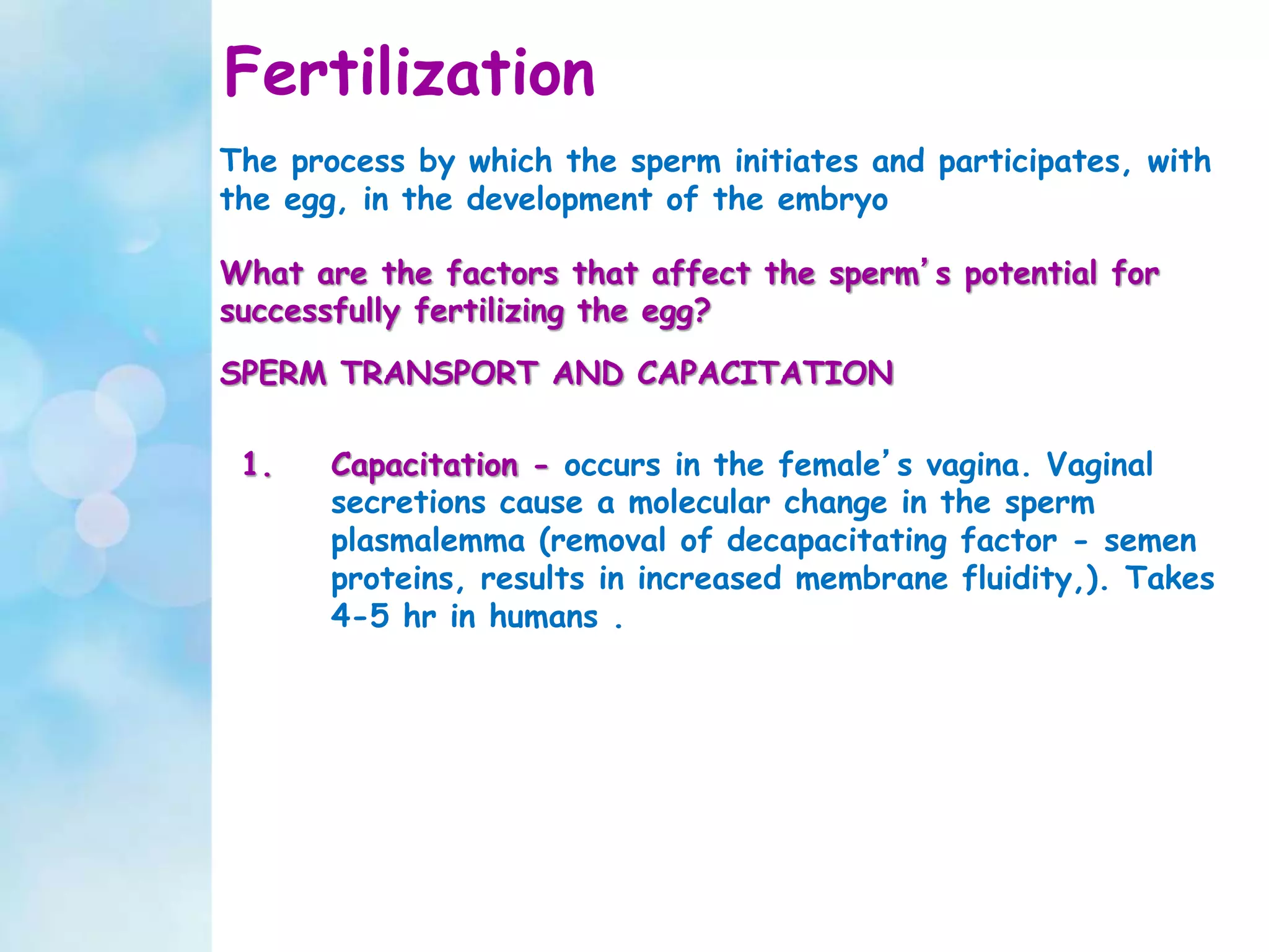 Fertilization | PPT
