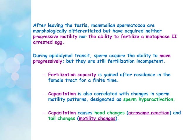 Fertilization | PPT