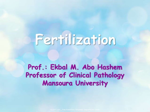 Fertilization | PPT