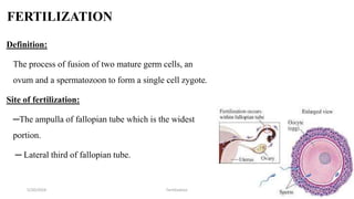 fertilization for public health (1).pptx