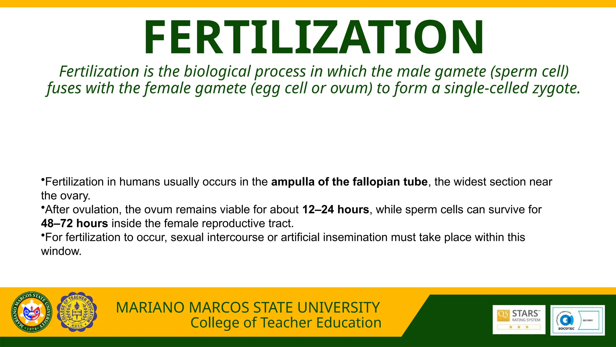 Fertilization-and-to-now-about-what it-does | PPTX