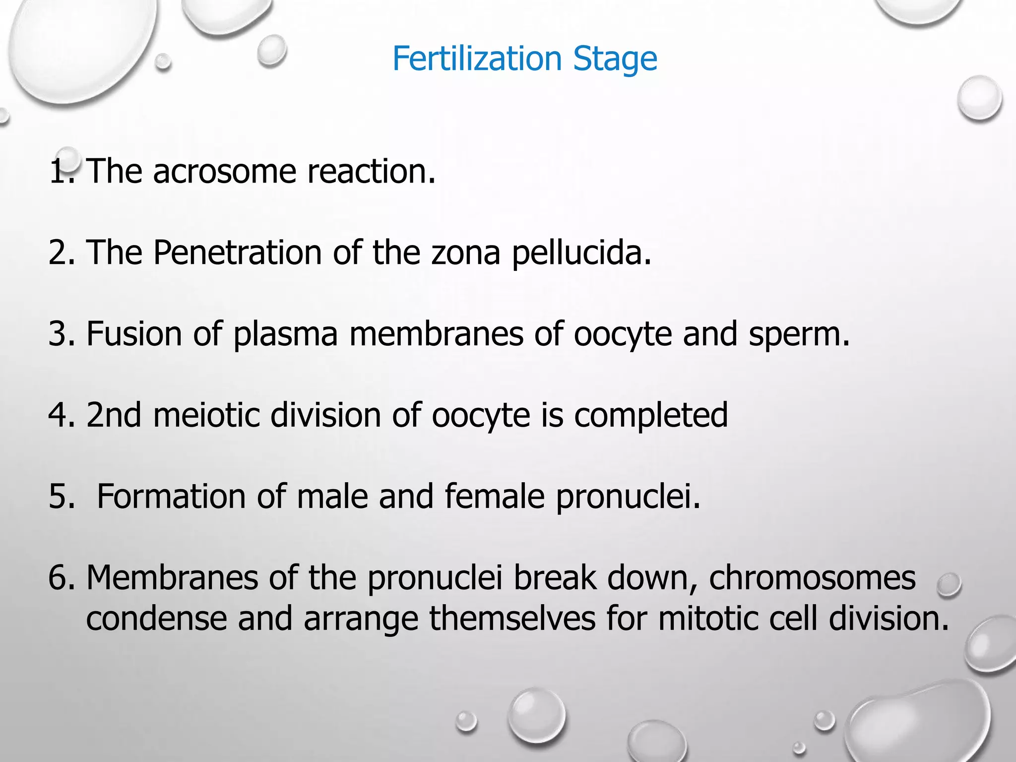 Fertilization | PPT