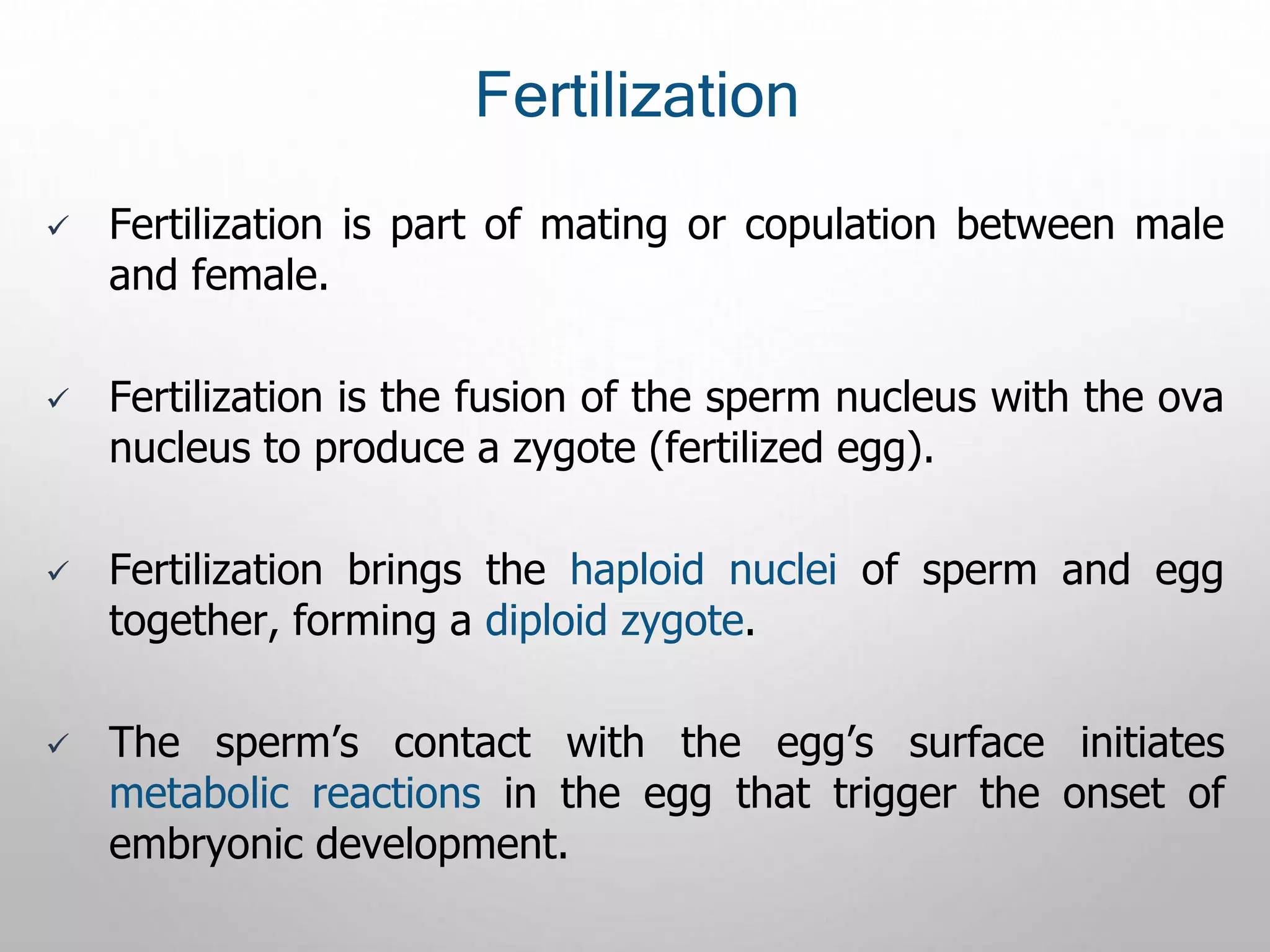 Fertilization | PPT