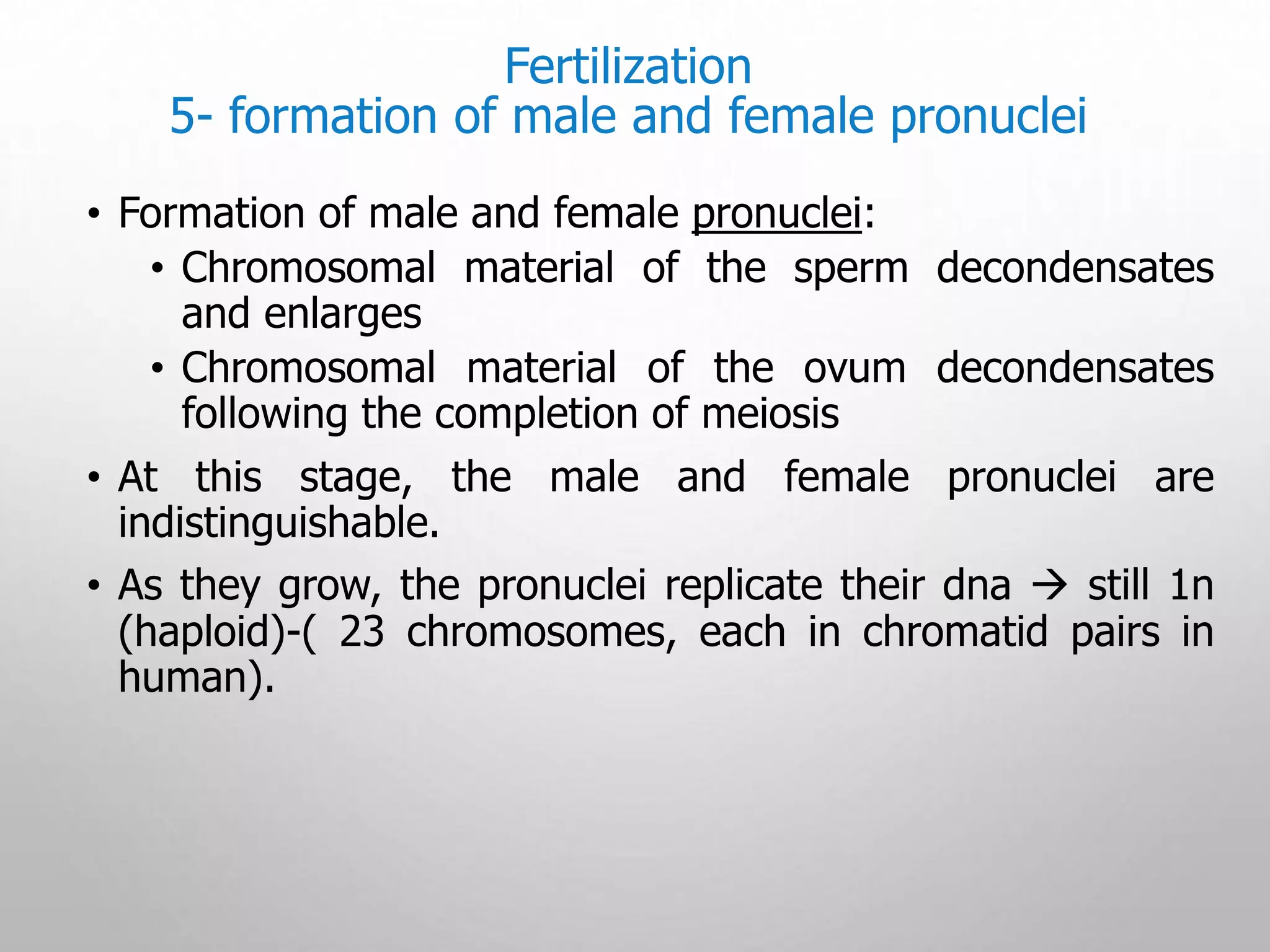 Fertilization | PPT