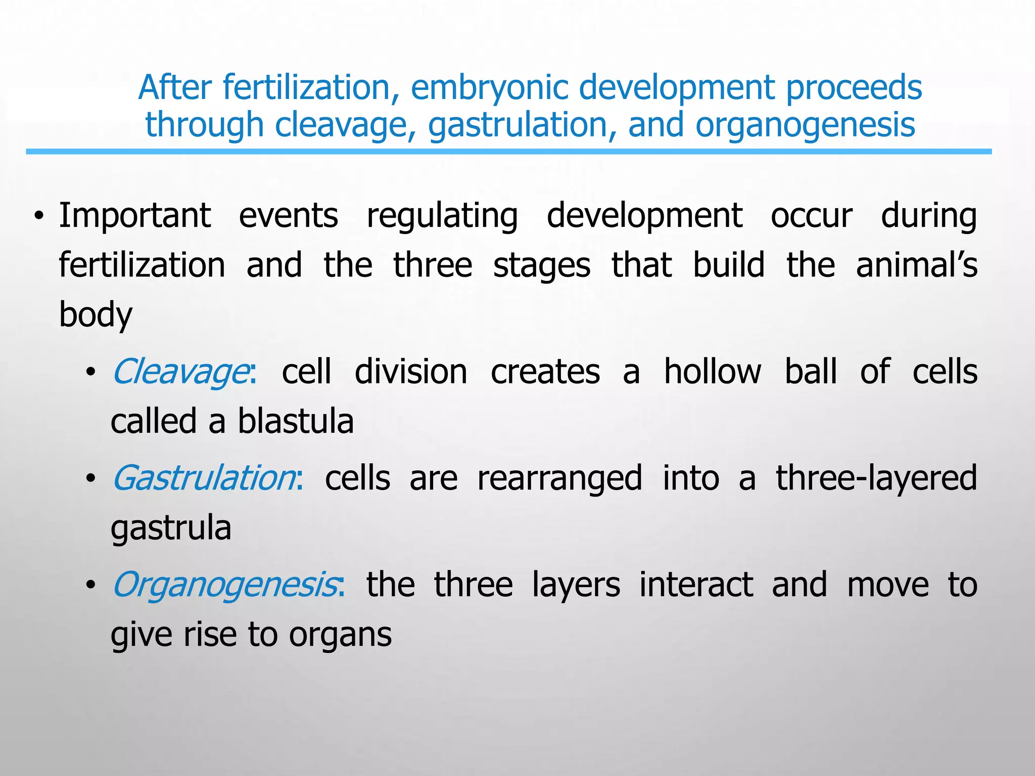 Fertilization | PPT