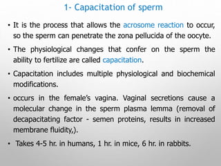 Fertilization | PPT