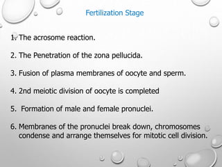 Fertilization | PPT