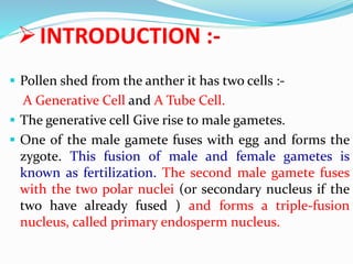 Fertilization and apomixis brijesh PRATAP SINGH | PPTX