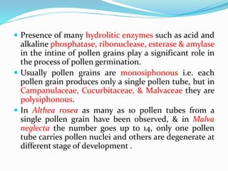 Fertilization and apomixis brijesh PRATAP SINGH | PPTX