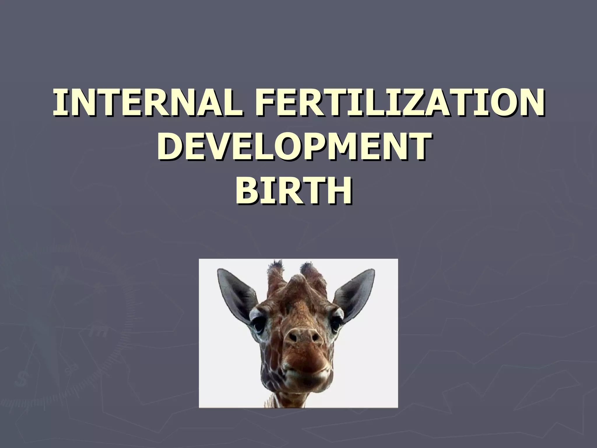 Fertilization and Development | PPT