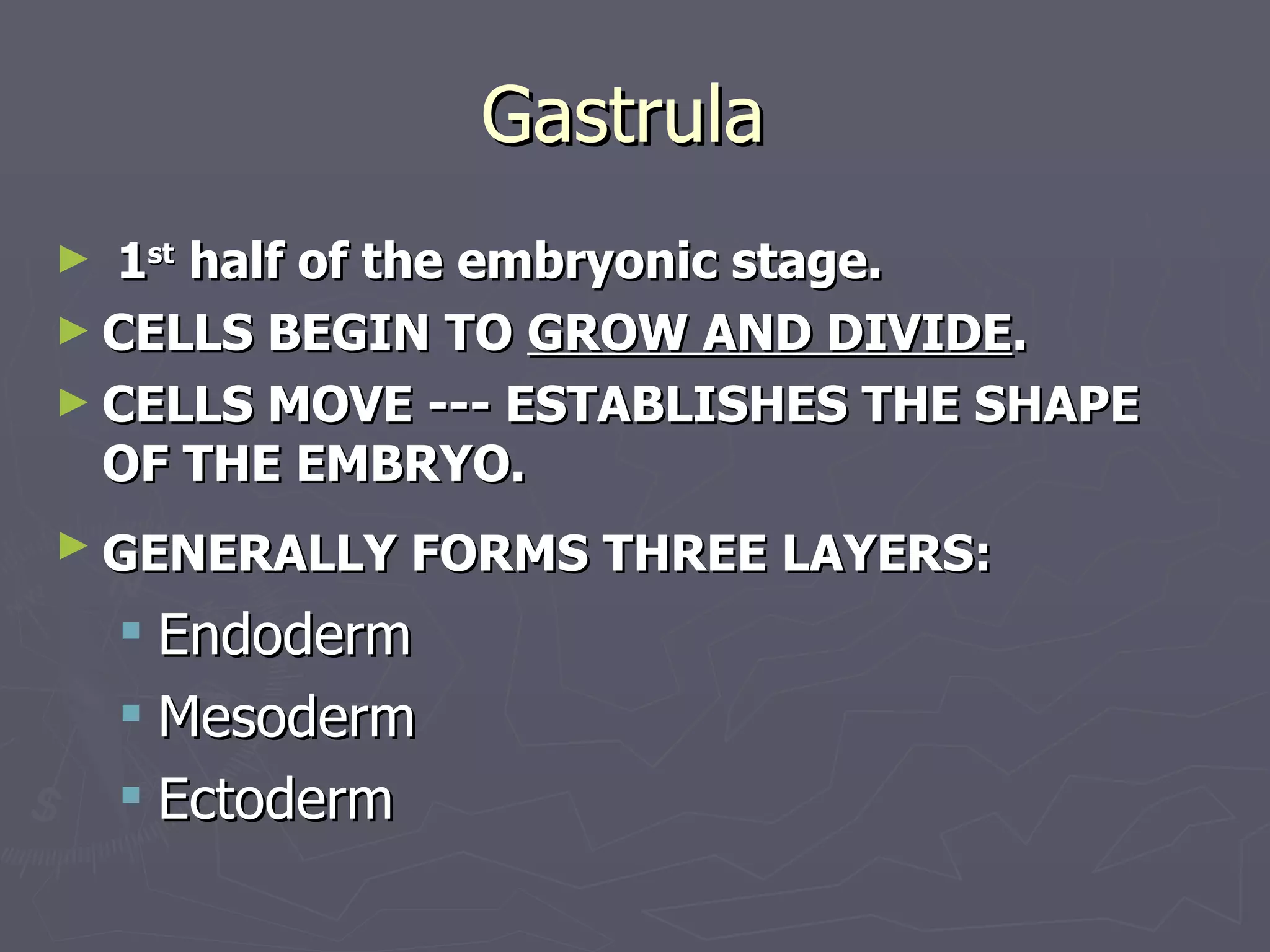 Fertilization and Development | PPT
