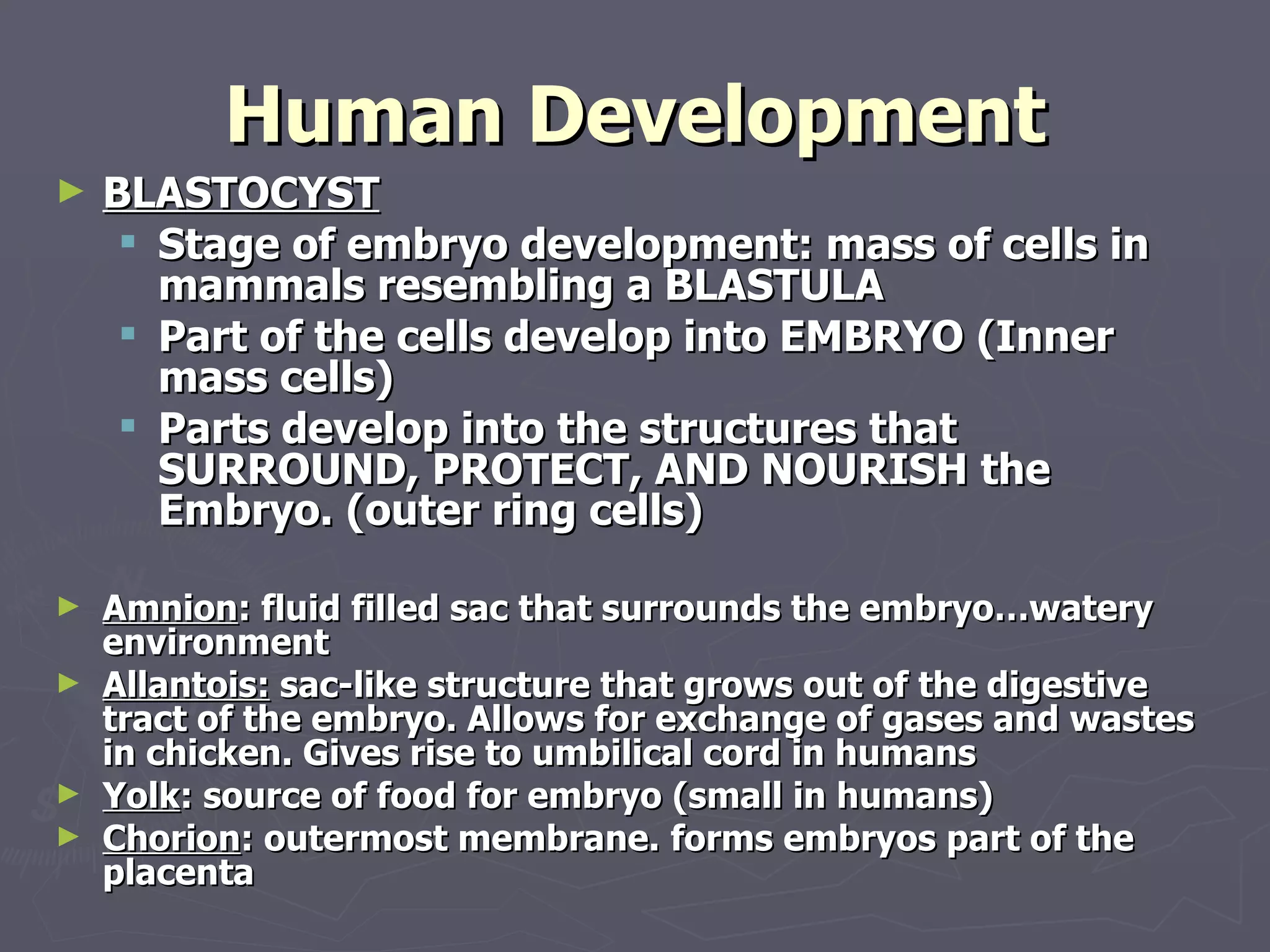 Fertilization and Development | PPT