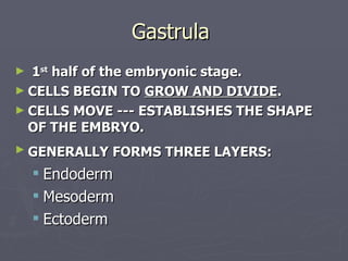 Fertilization and Development | PPT