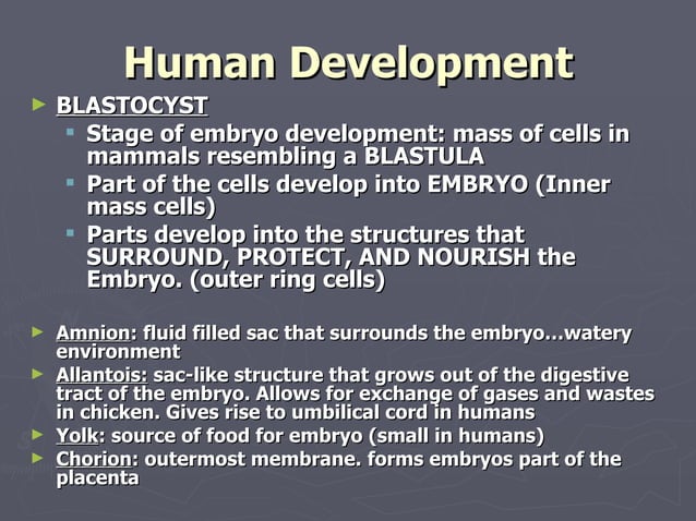 Fertilization and Development | PPT