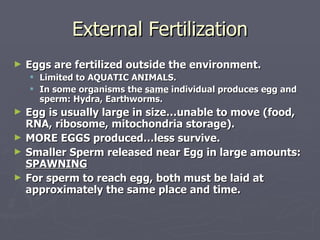 Fertilization and Development | PPT