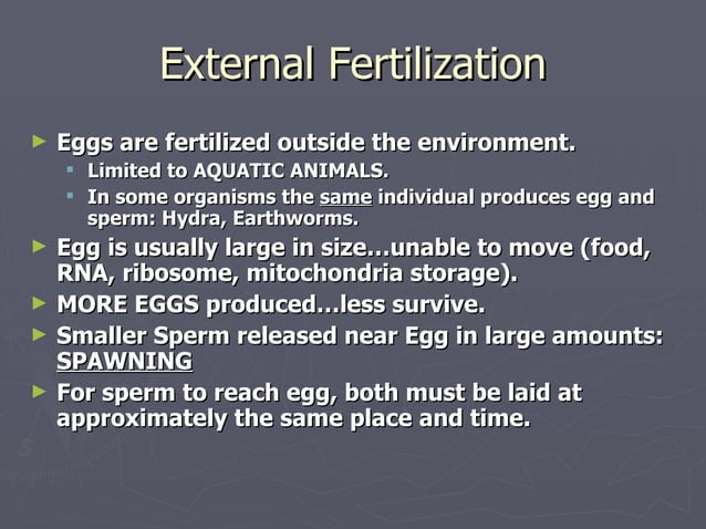 Fertilization and Development | PPT