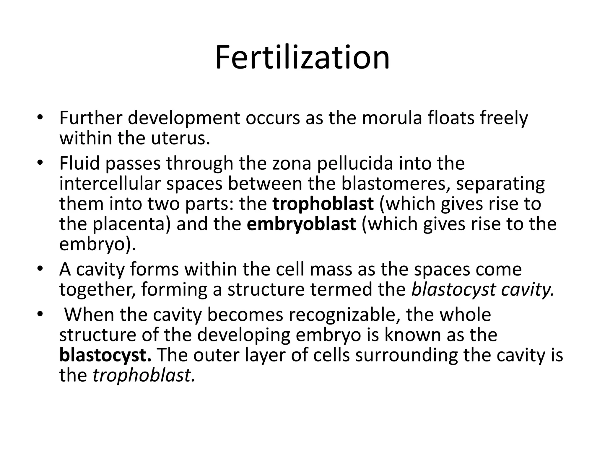 Fertilization and development of conceptus | PPTX