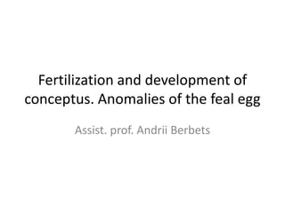 Fertilization and development of conceptus | PPT