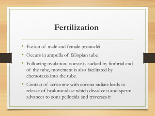 Fertilization and development of embryo.pptx