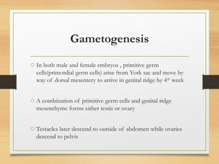 Fertilization and development of embryo.pptx