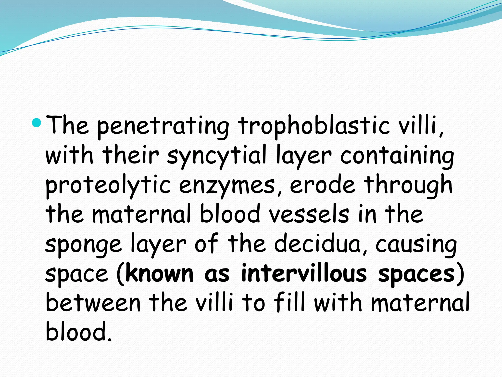 Fertilization And Embryology Pptx In Reproductive Health Pptx