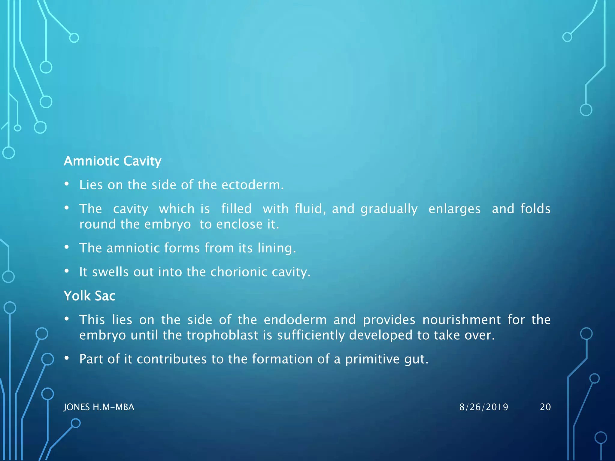 Fertilization and fetal development | PPTX