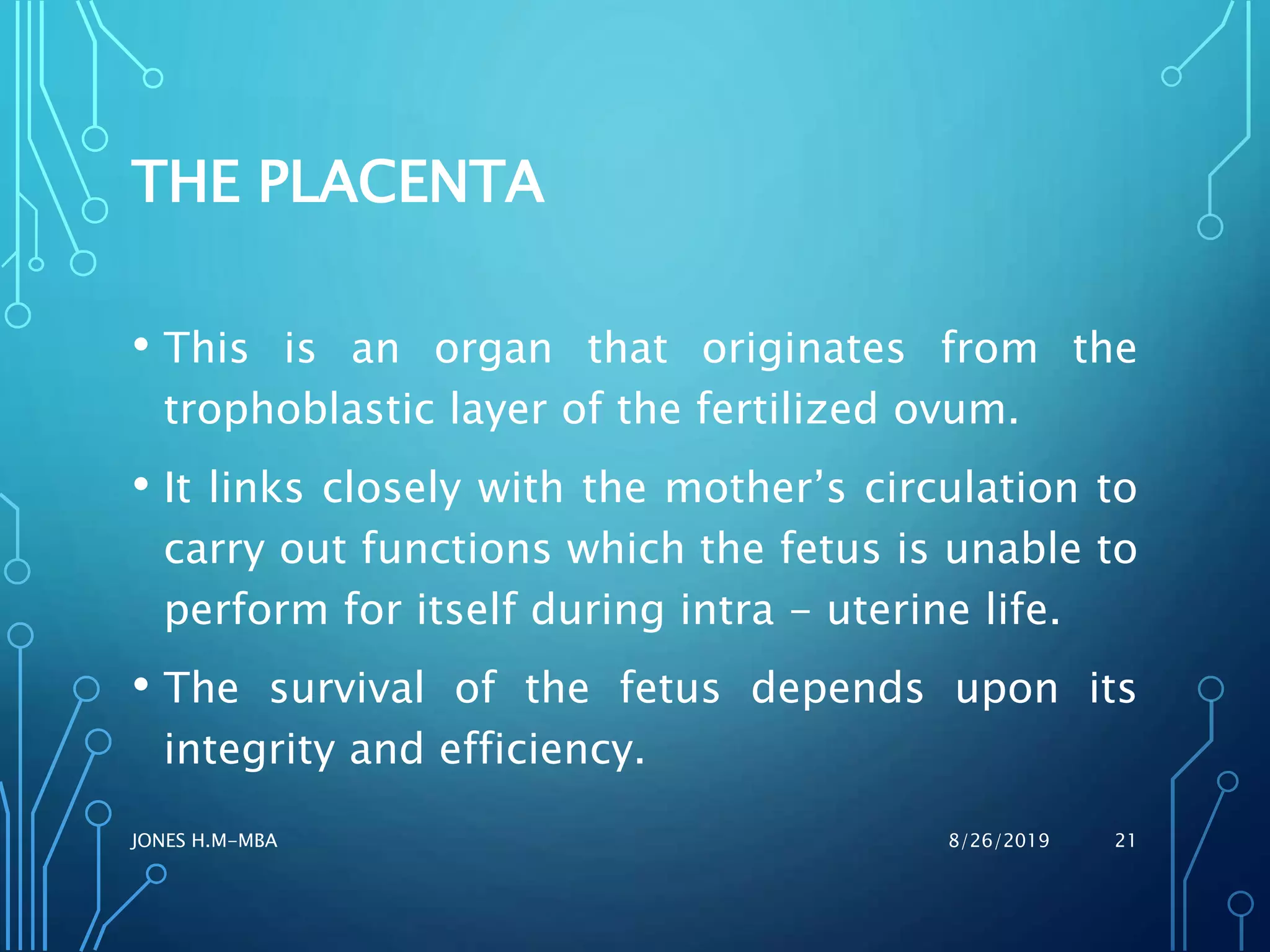 Fertilization and fetal development | PPTX