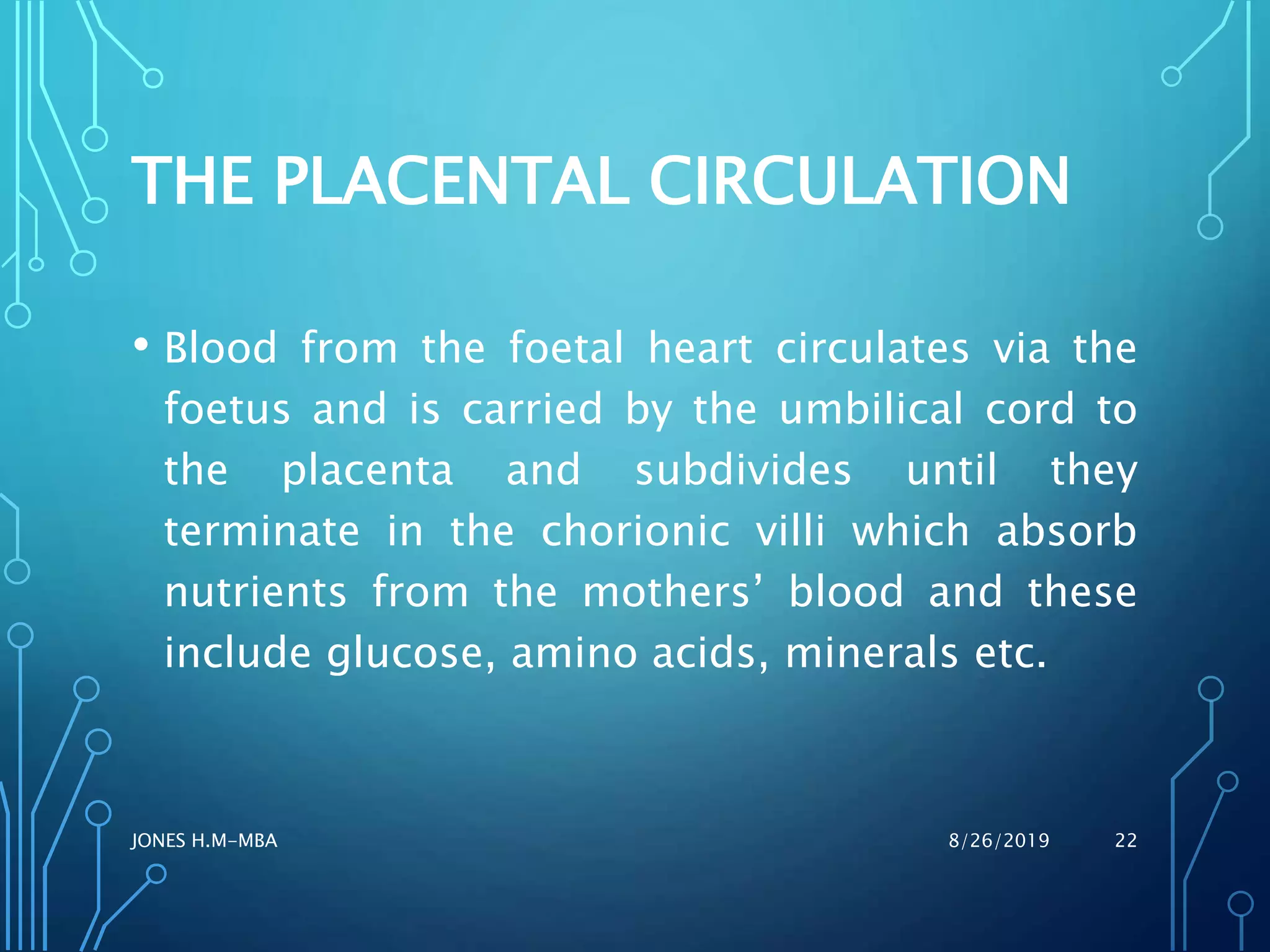Fertilization and fetal development | PPTX