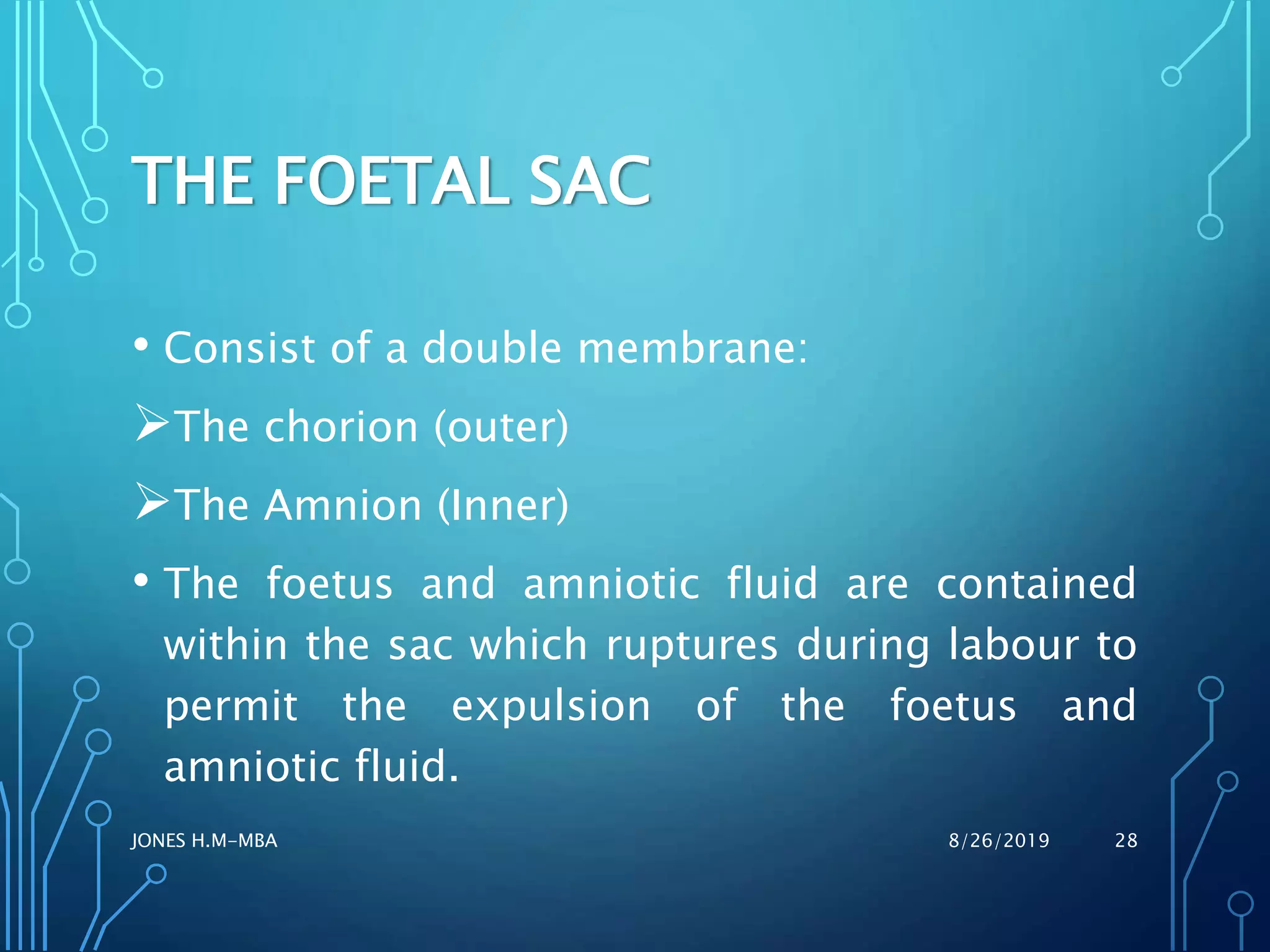 Fertilization and fetal development | PPTX