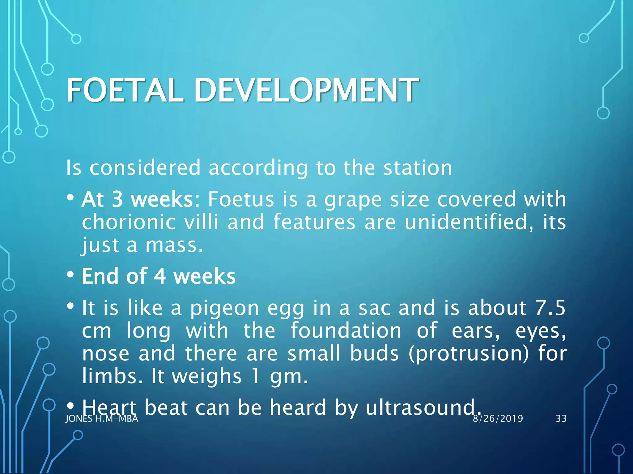 Fertilization and fetal development | PPTX