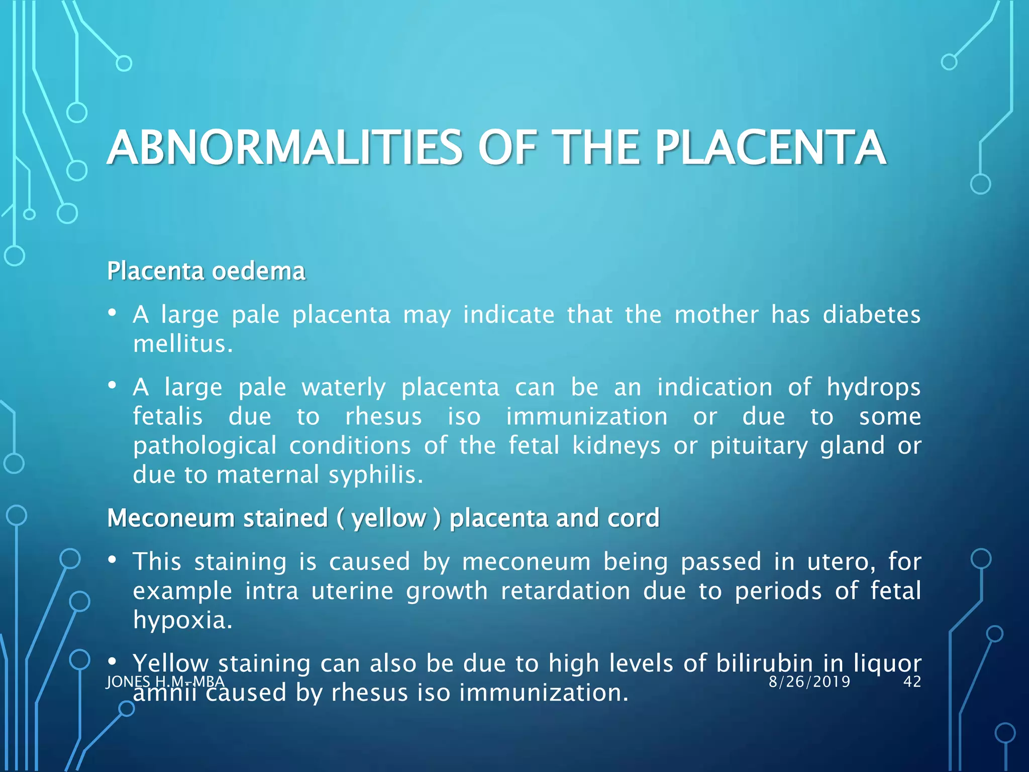 Fertilization and fetal development | PPTX