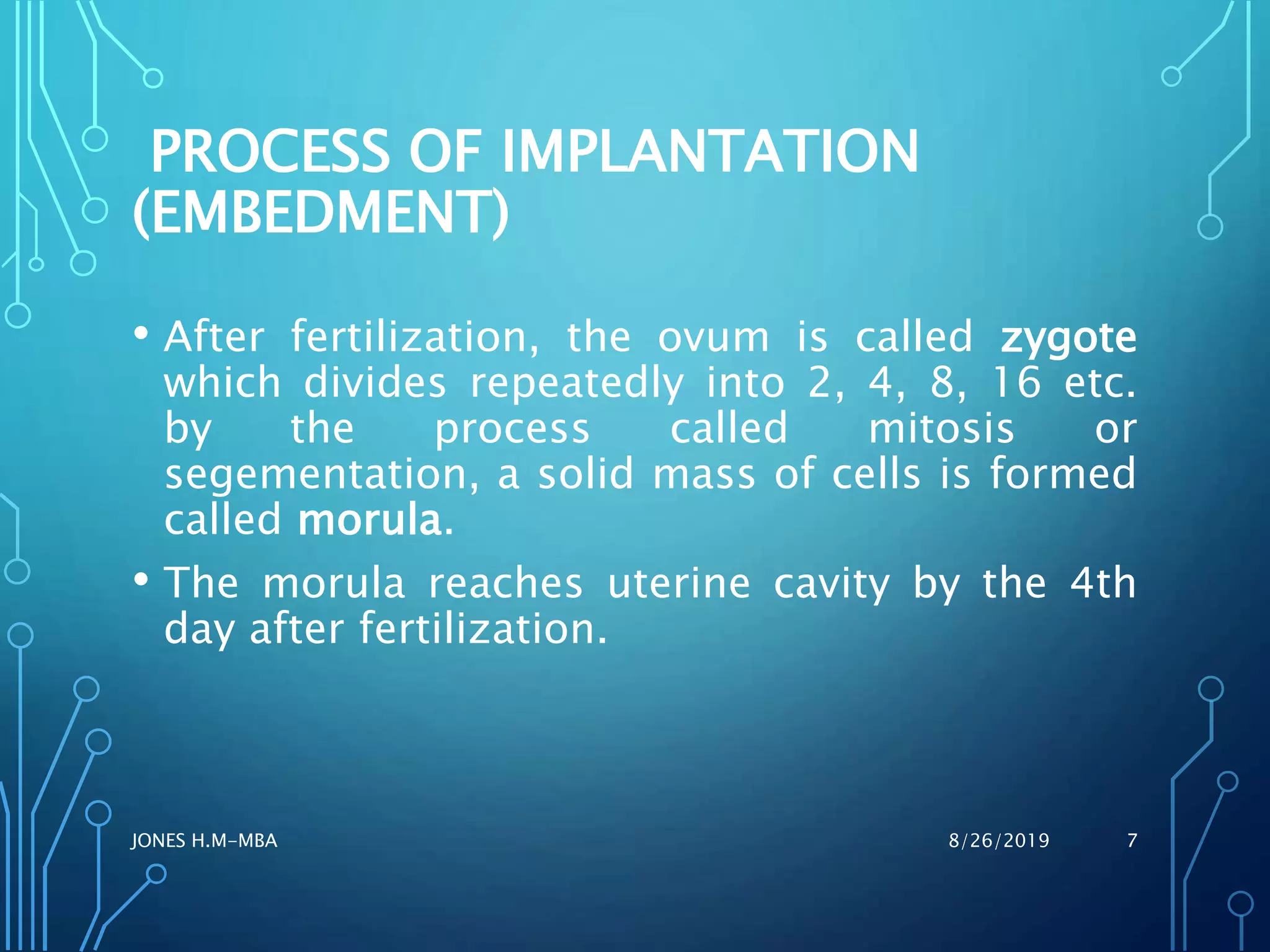 Fertilization and fetal development | PPTX