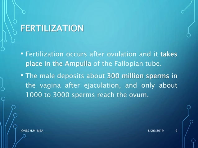 Fertilization and fetal development | PPTX