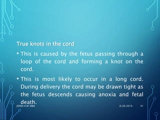 Fertilization and fetal development | PPTX