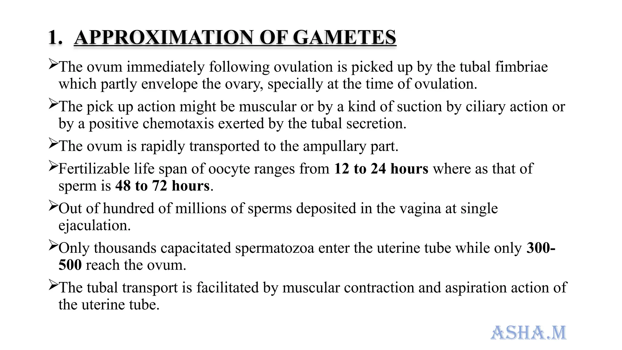 Fertilization and fetal development ppt | PPTX